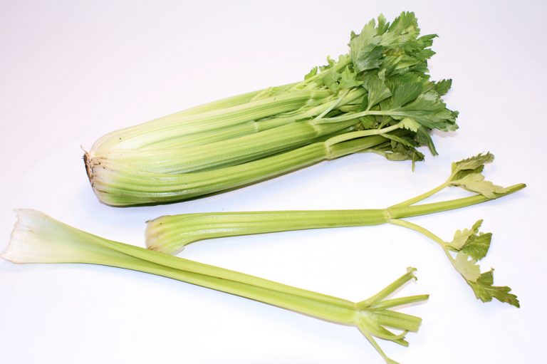 Apio ¿ Cómo se usa?¿Con qué combina?